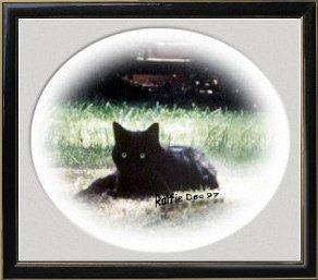 Little Miss Ralfie by Pauly & Family – In Memory of Pets